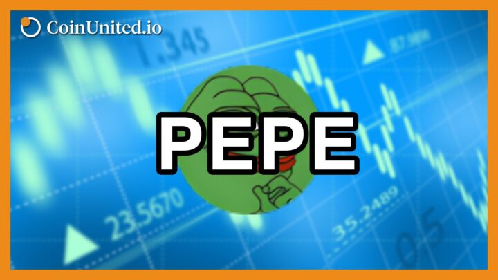 Đòn bẩy Master PEPE 2000x - Hướng dẫn giao dịch cho người mới bắt đầu