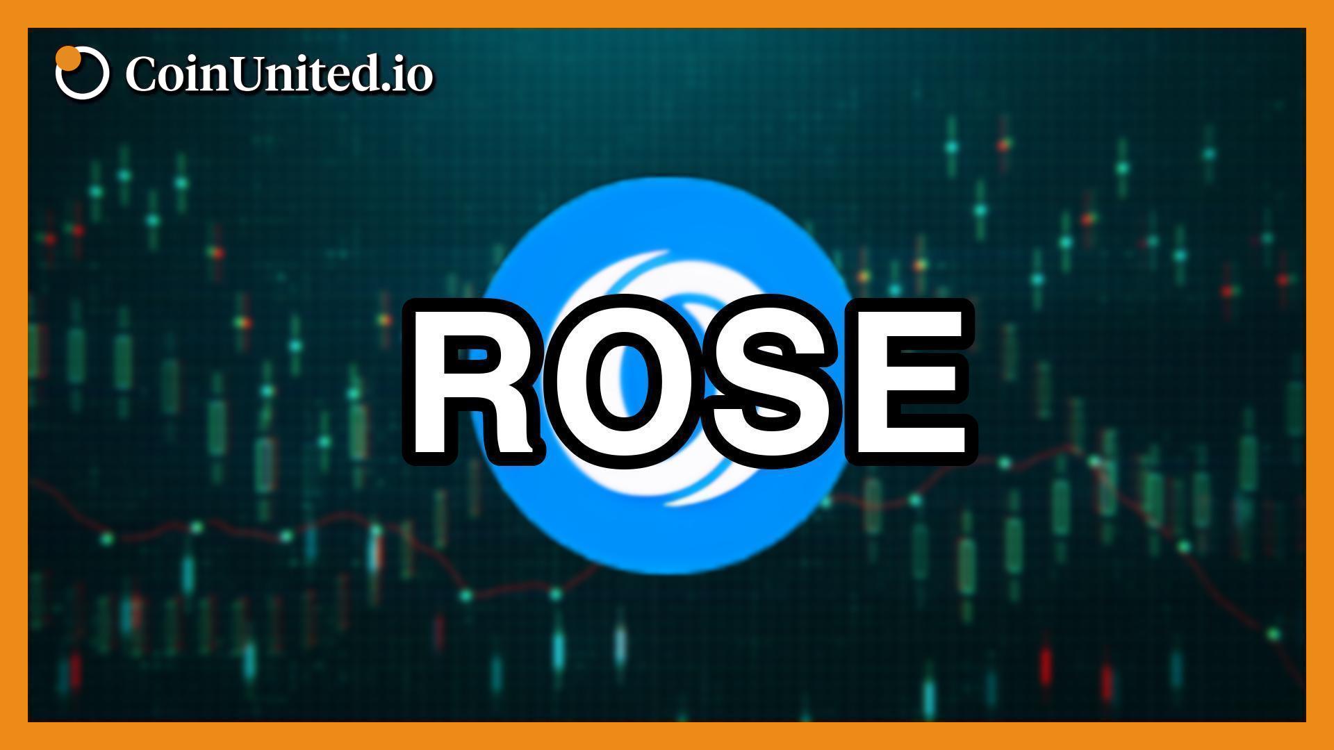 The Best Trading Platforms for Oasis Network (ROSE)
