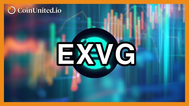 Maximizing Profits with 2000x Leverage on Exverse (EXVG): A ...