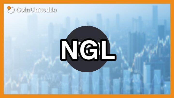 The Best Trading Platforms for Entangle (NGL) - CoinUnited.io