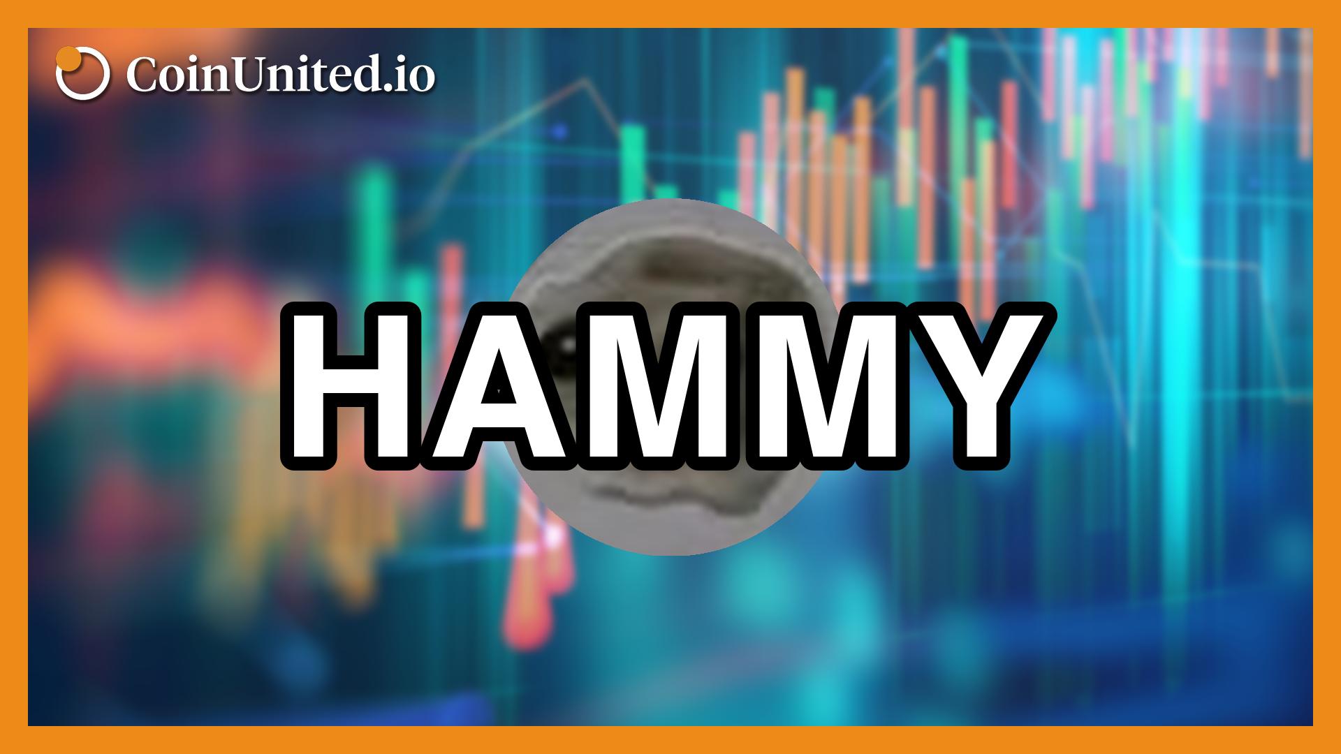 The Best Trading Platforms for SAD HAMSTER (HAMMY)
