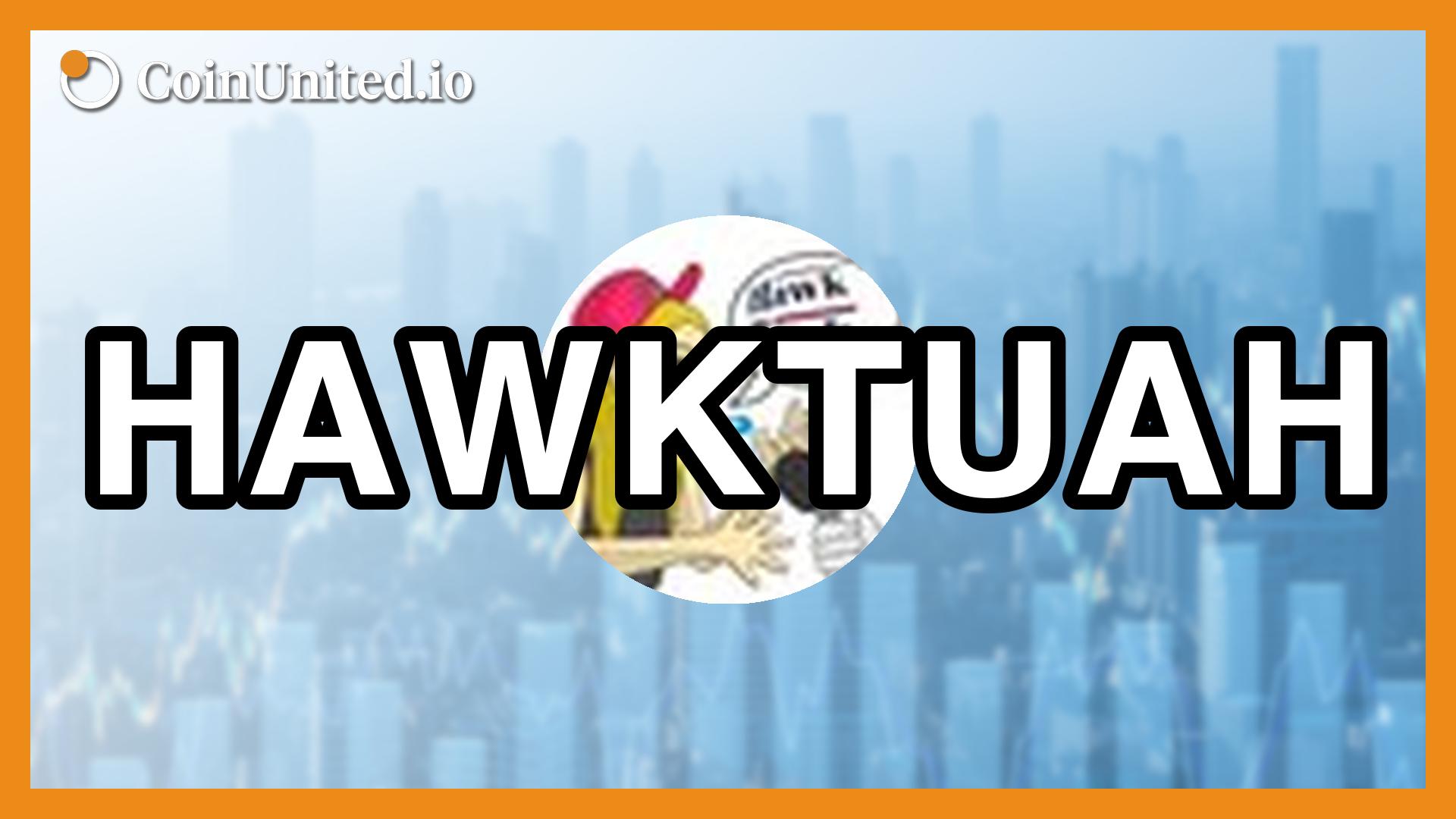 Peluang Perdagangan Hawk Tuah (HAWKTUAH) Terbesar di 2024: Jangan Lewatkan