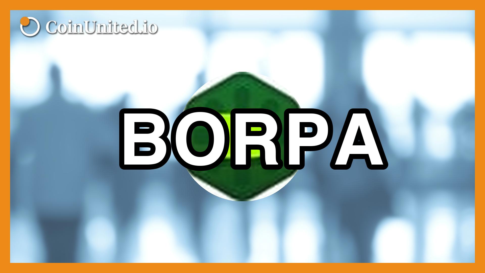 The Best Trading Platforms for BorpaToken (BORPA)