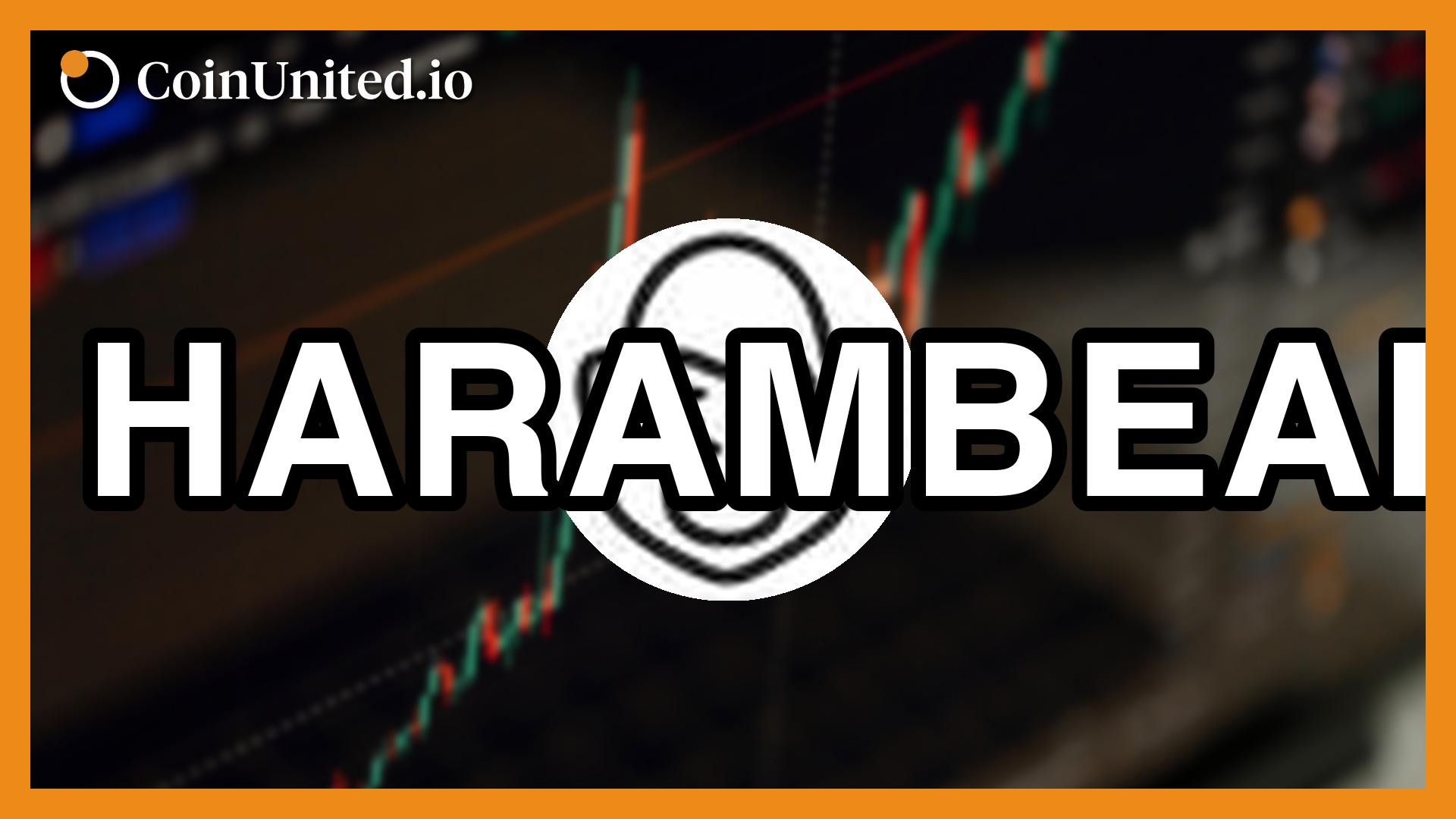 The Best Trading Platforms for Harambe AI (HARAMBEAI)